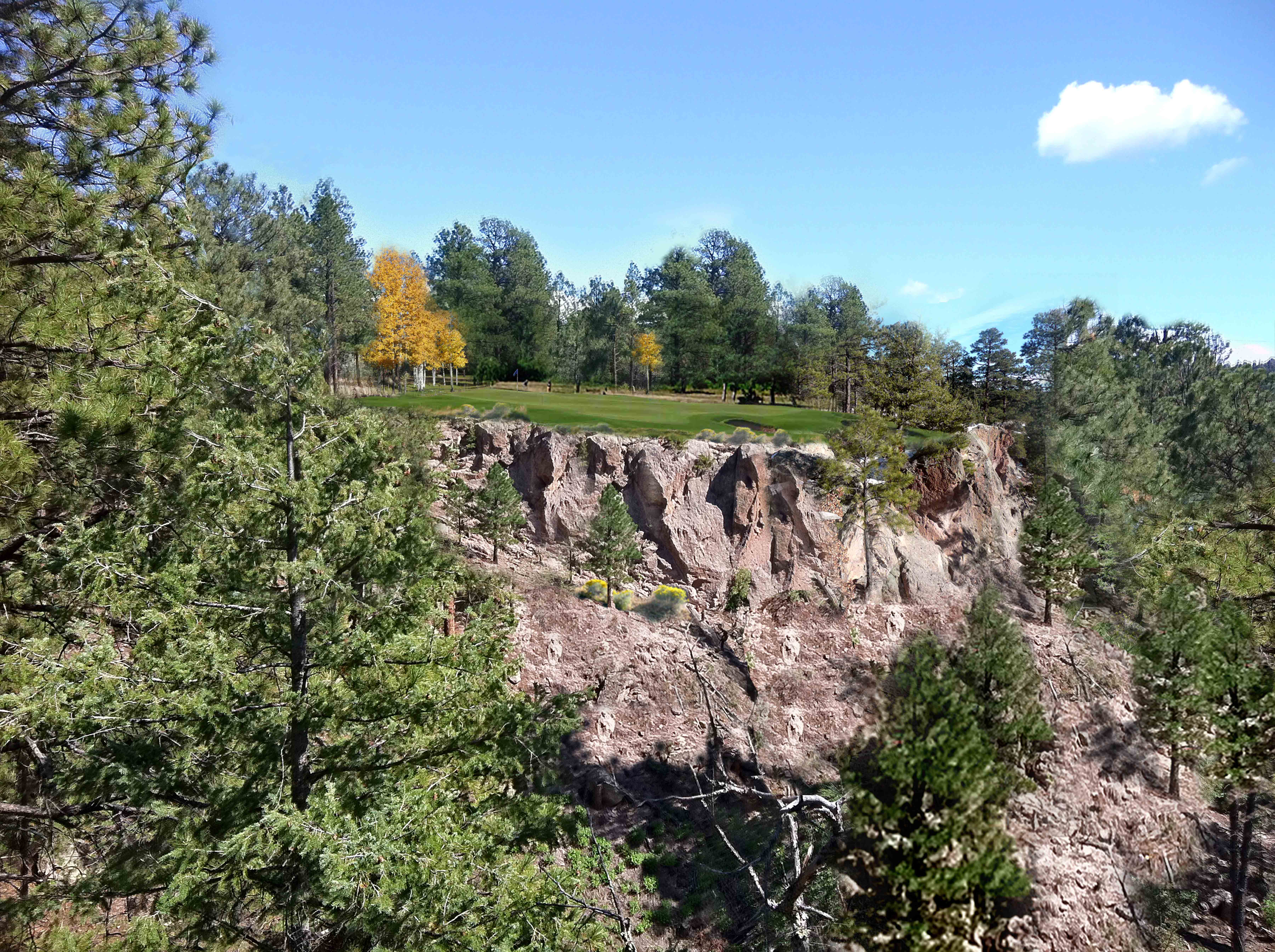 Community Links Champion – An Interview with Architect Andy Staples ...