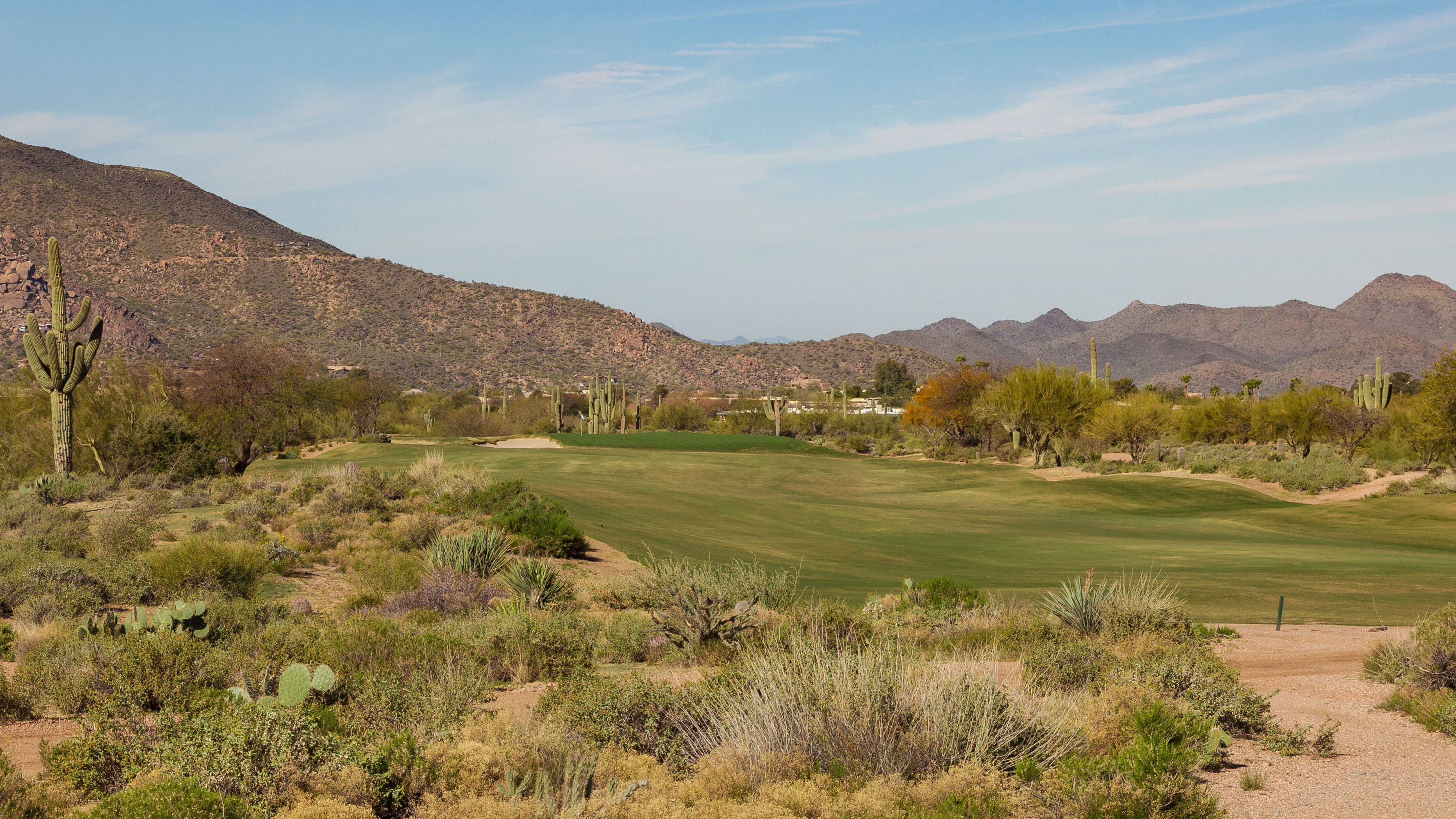 Desert Forest Daydreaming – GEEKED ON GOLF