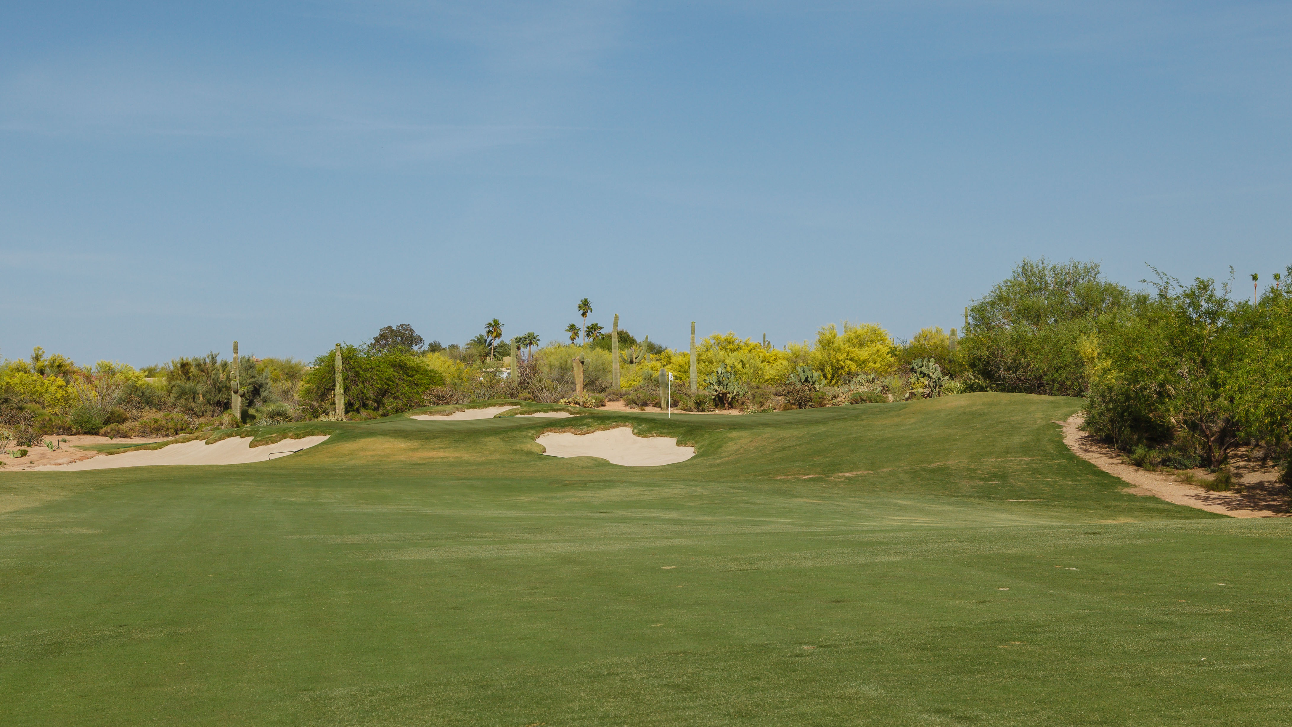 Desert Forest Daydreaming – GEEKED ON GOLF
