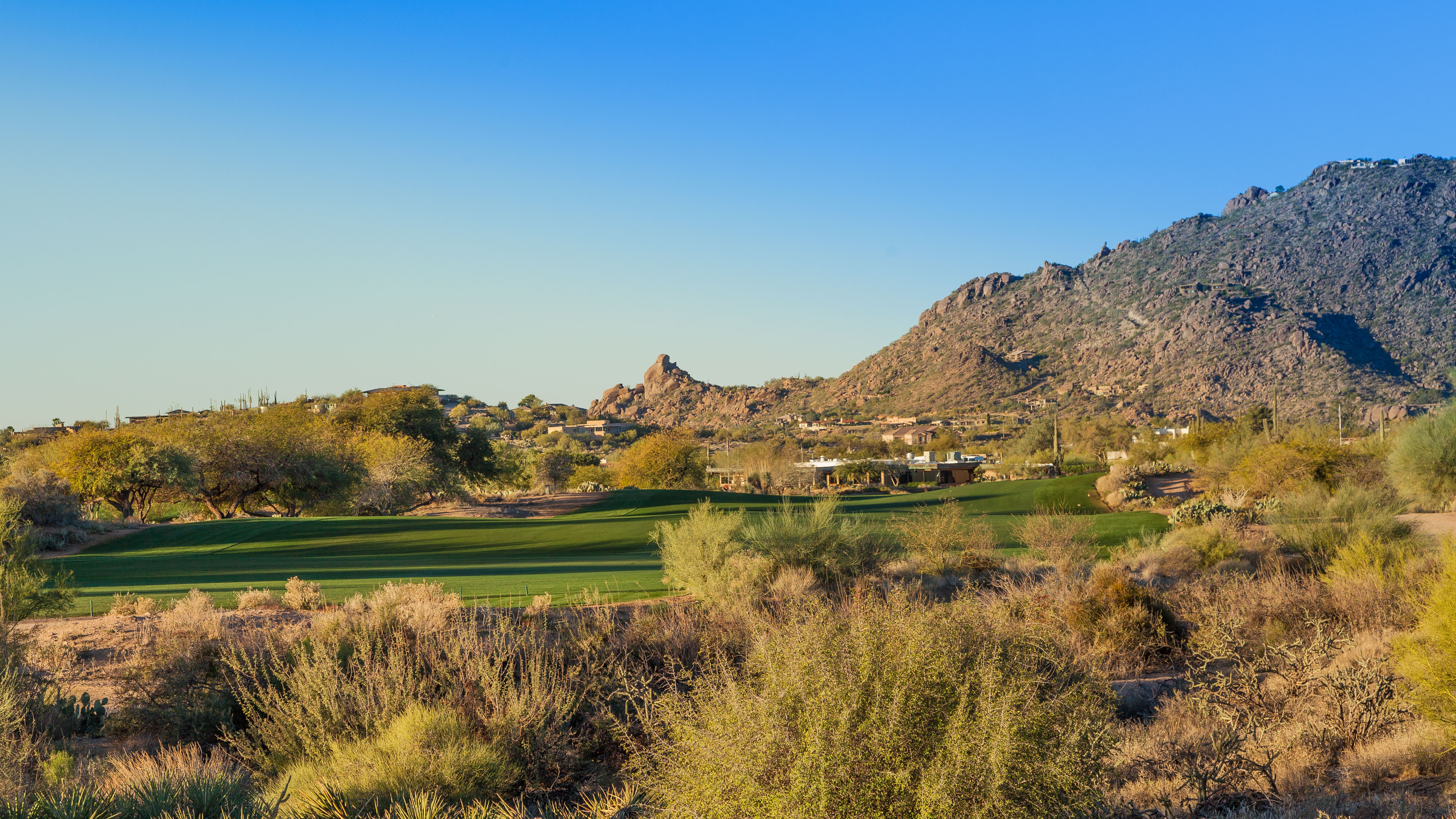 Desert Forest Daydreaming – GEEKED ON GOLF