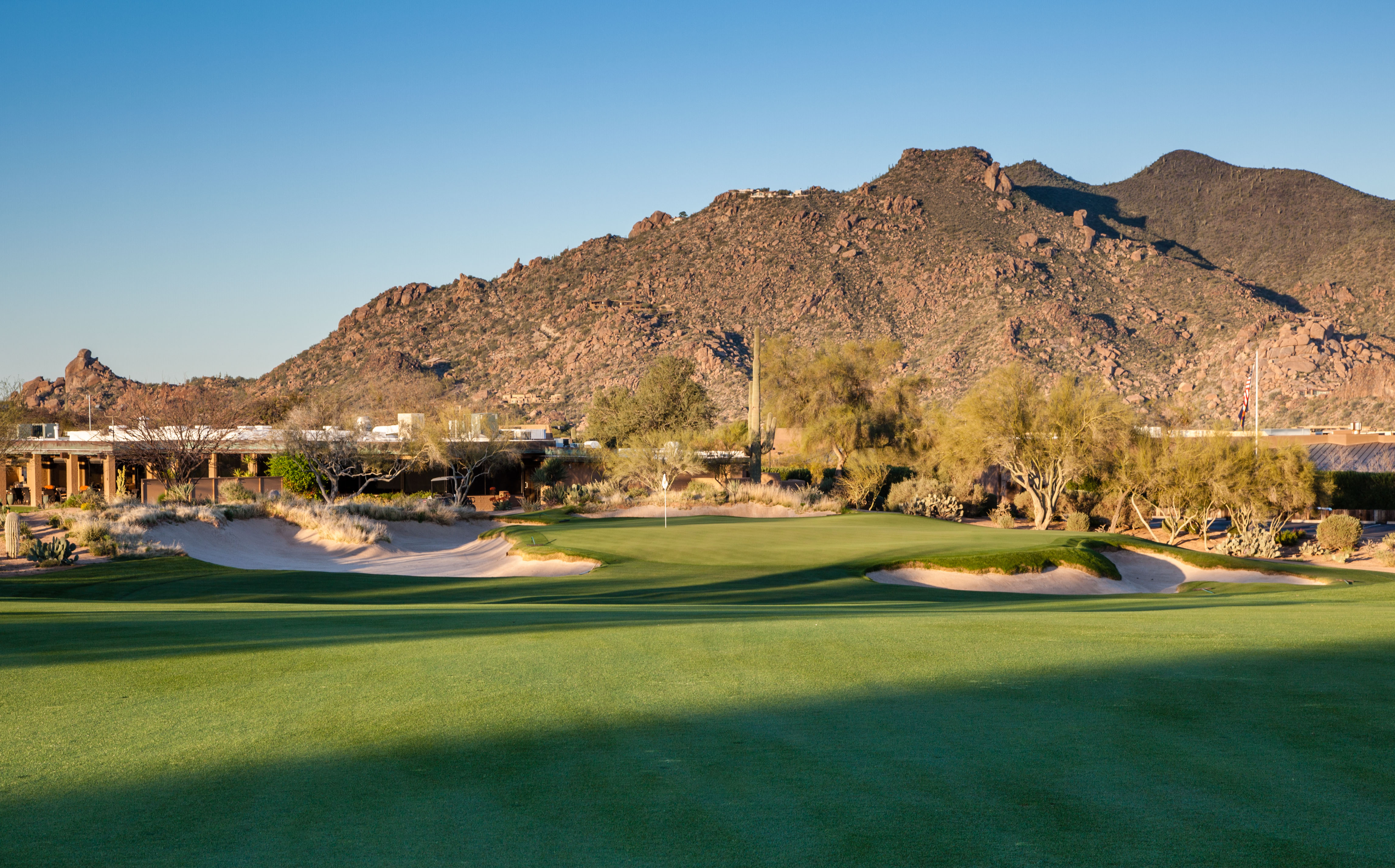 Desert Forest Daydreaming – GEEKED ON GOLF